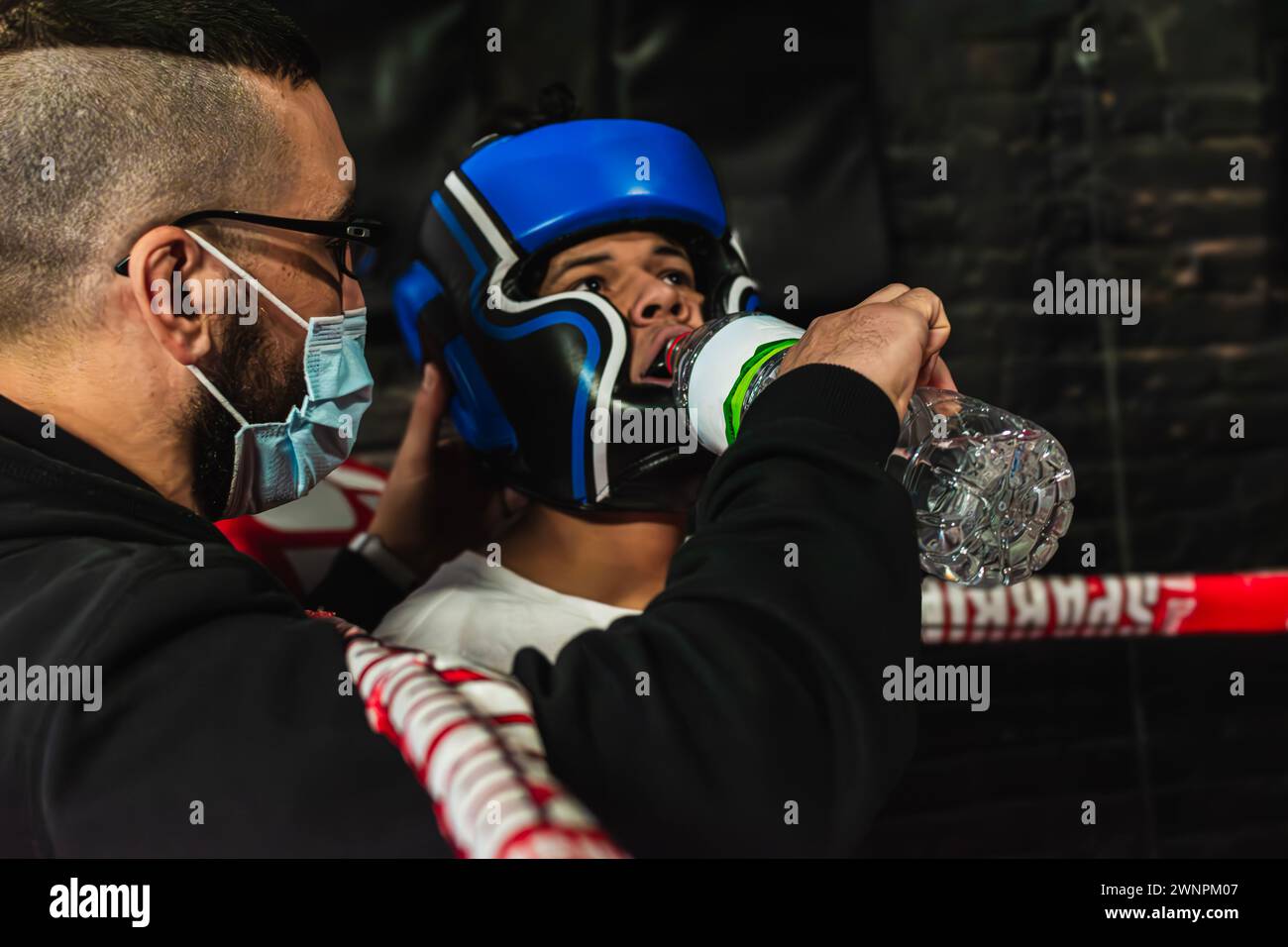 Trainer giving his fighter a drink in the corner of the ring during the ...
