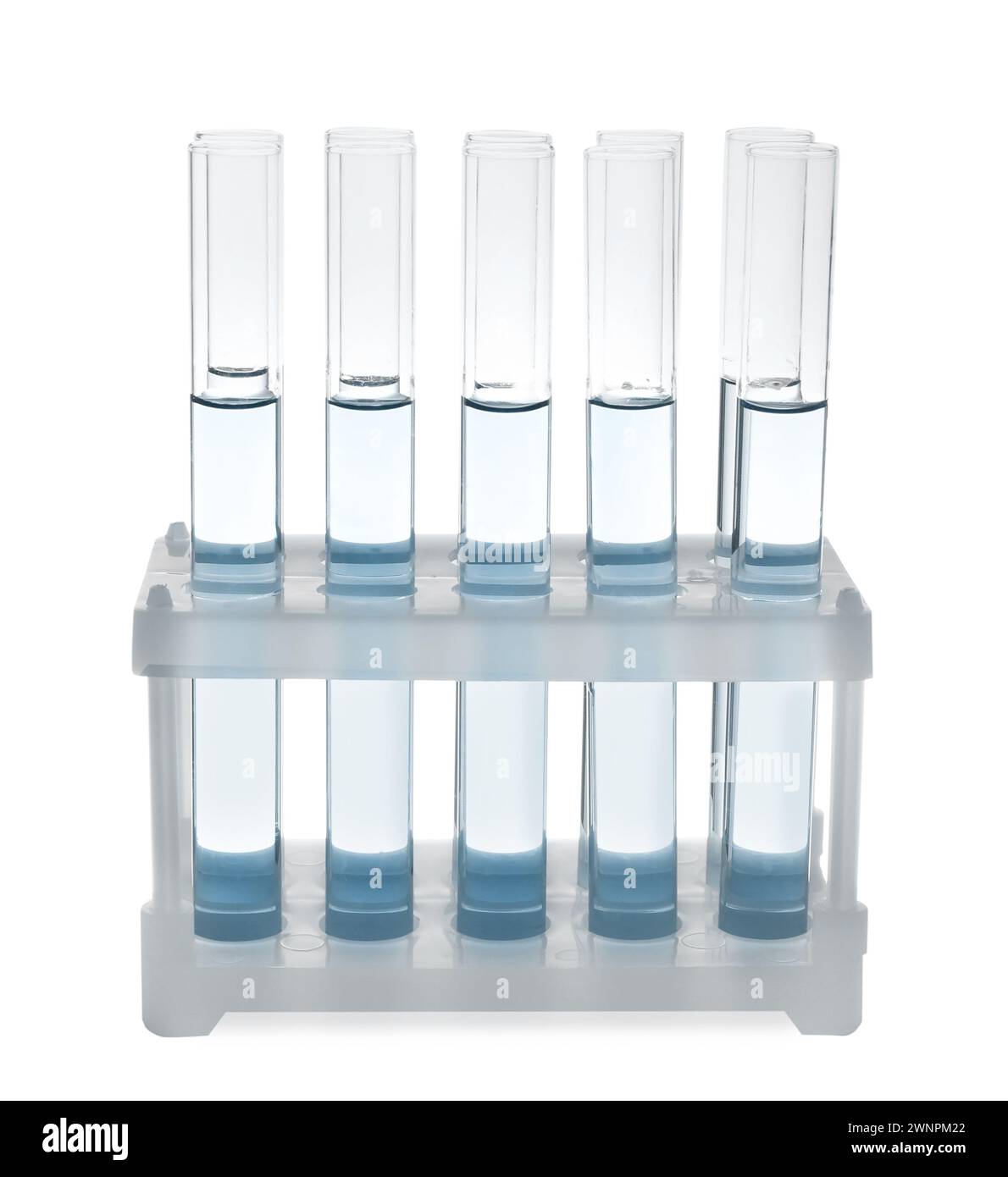 Test tubes with light blue liquid in rack isolated on white Stock Photo ...
