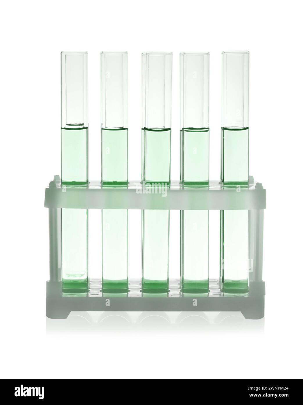 Test tubes with light green liquid in rack isolated on white Stock ...