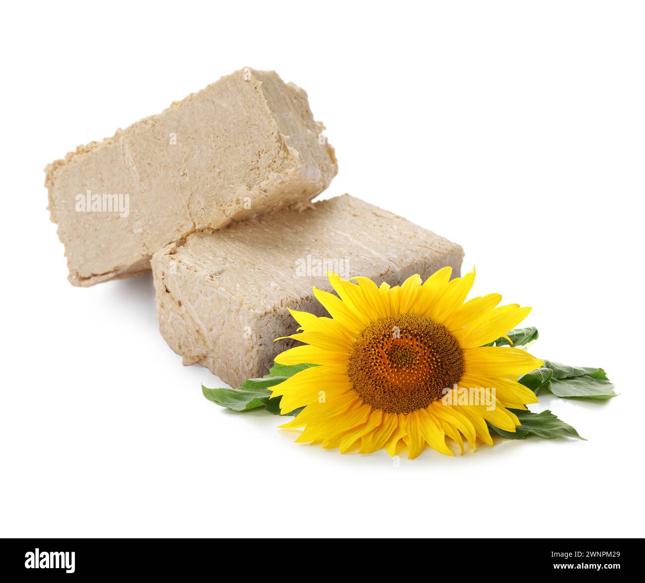 Tasty halva and sunflower isolated on white Stock Photo - Alamy