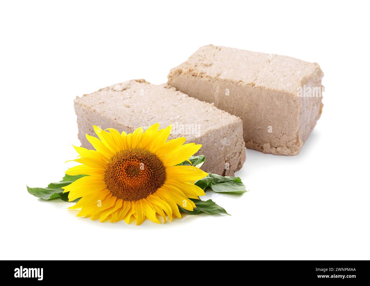 Tasty halva and sunflower isolated on white Stock Photo - Alamy