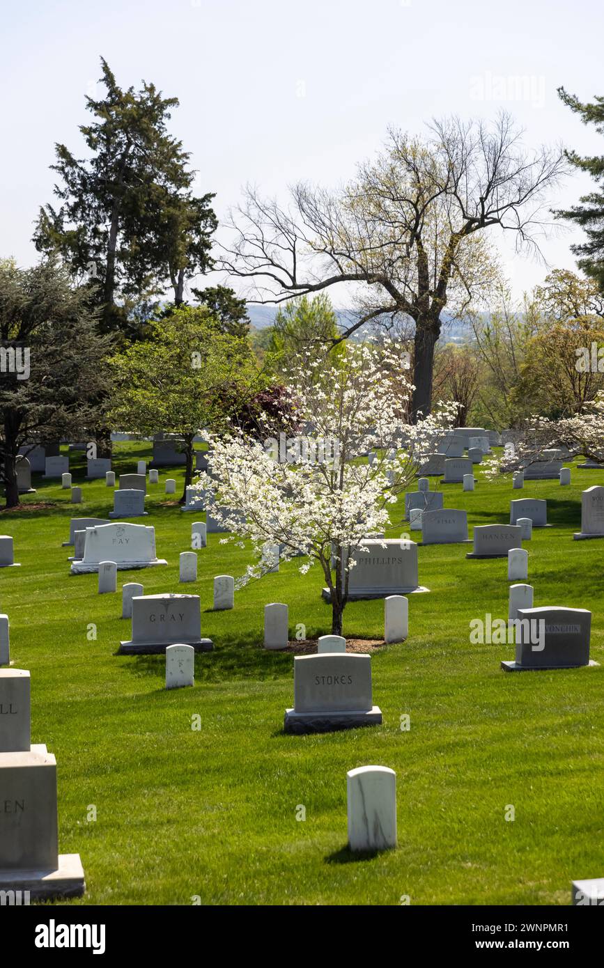 Arlington National Cemetery, especially around the Tomb Of The Unknown ...