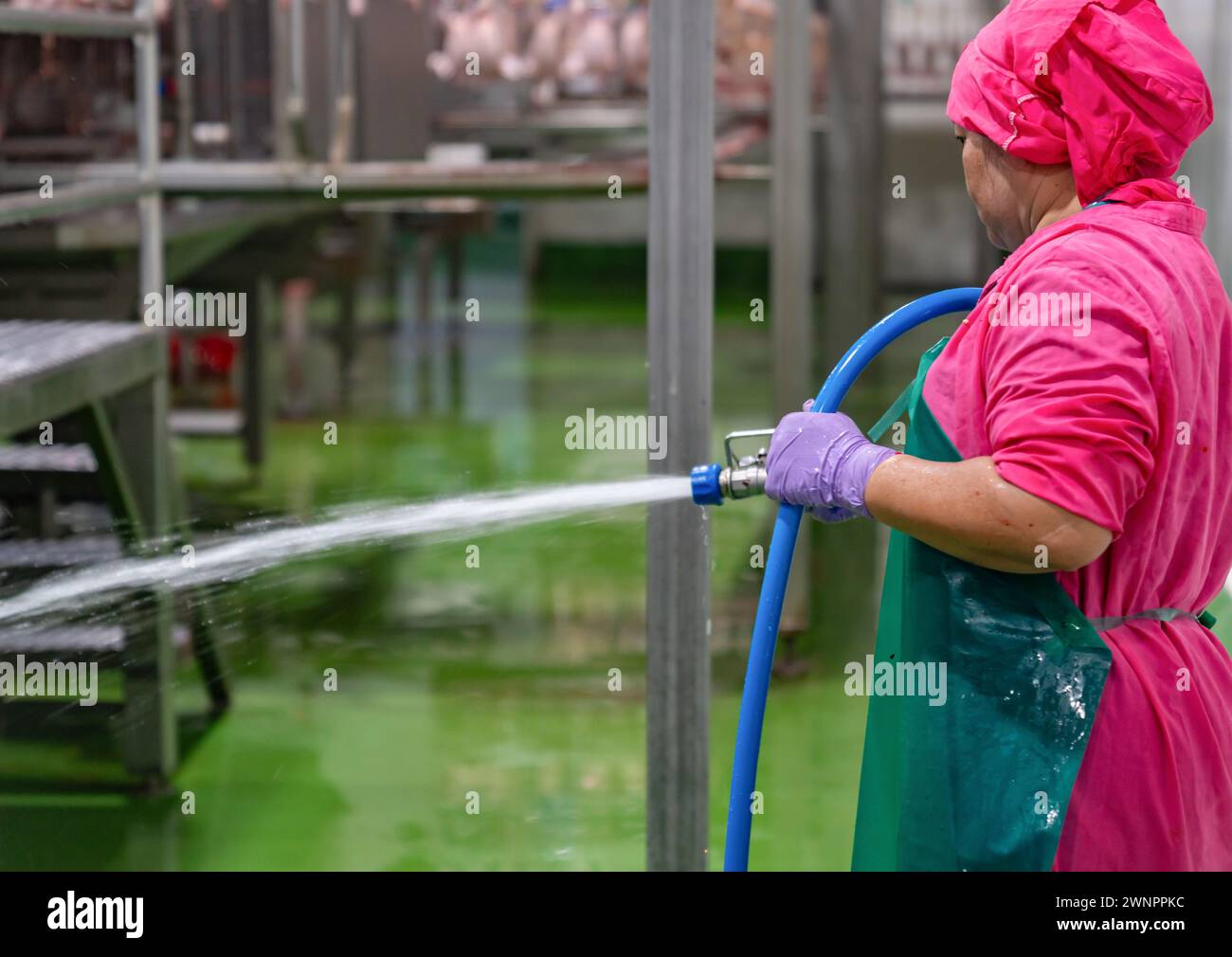 Workers spray water to clean production lines. Cleaning after work ...