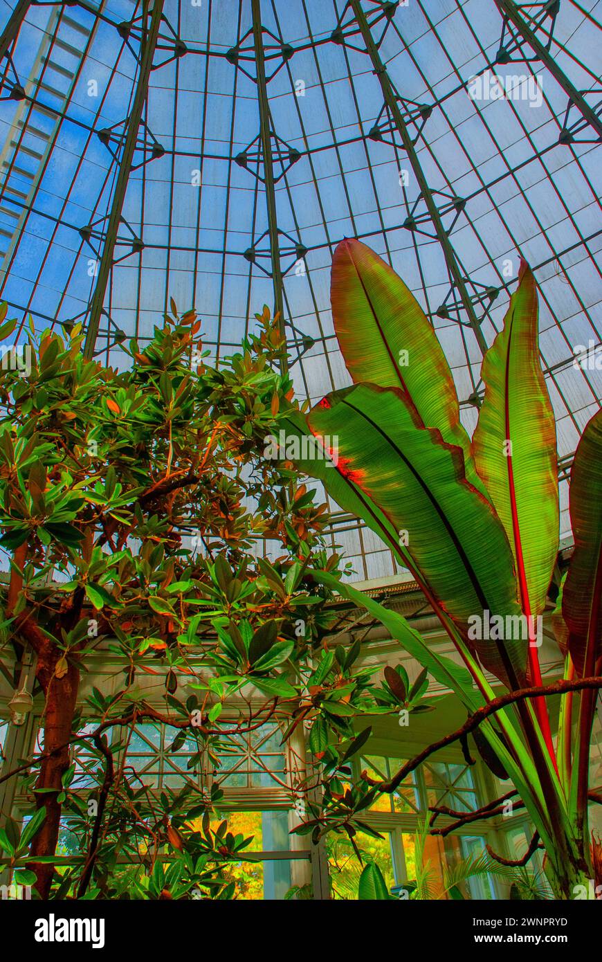 Oversaturated hi-res stock photography and images - Alamy