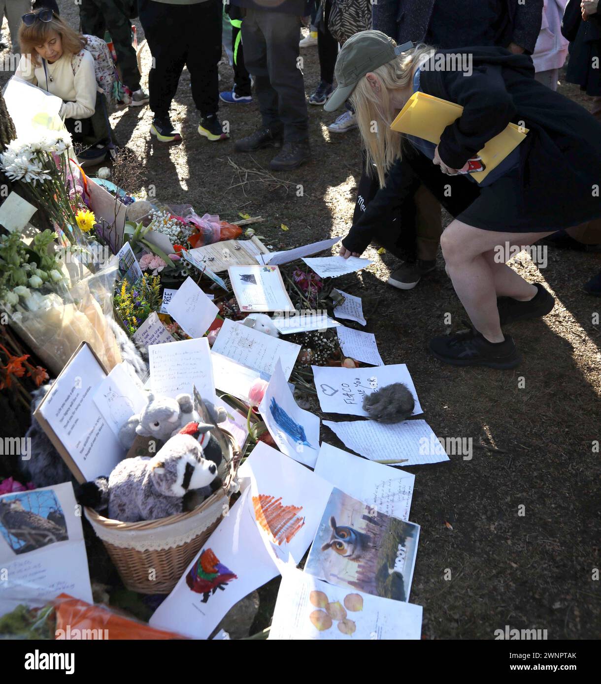 New York, New York, USA. 3rd Mar, 2024. A mourner seen at the ...