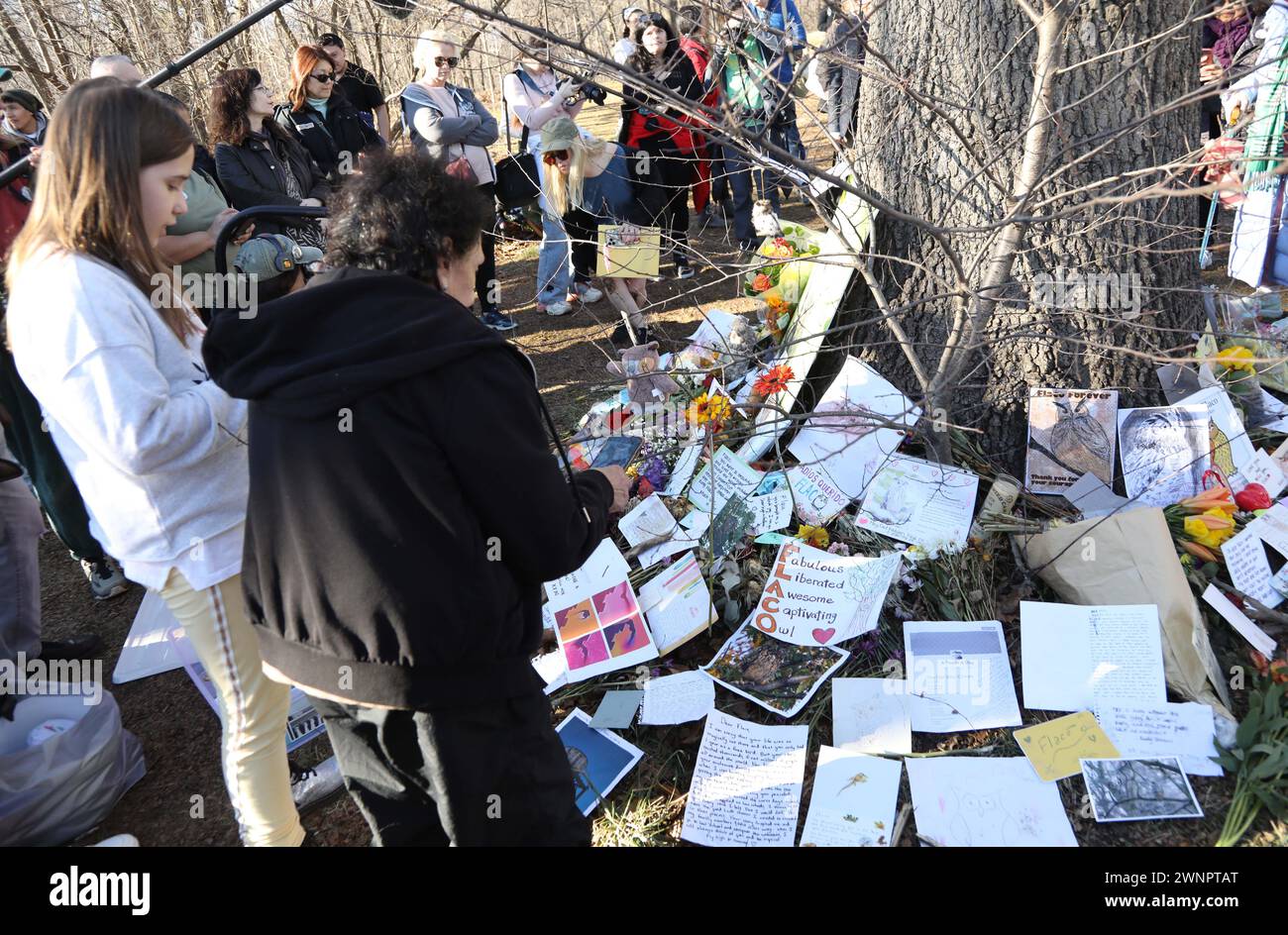 New York, New York, USA. 3rd Mar, 2024. Mourners seen at the ...