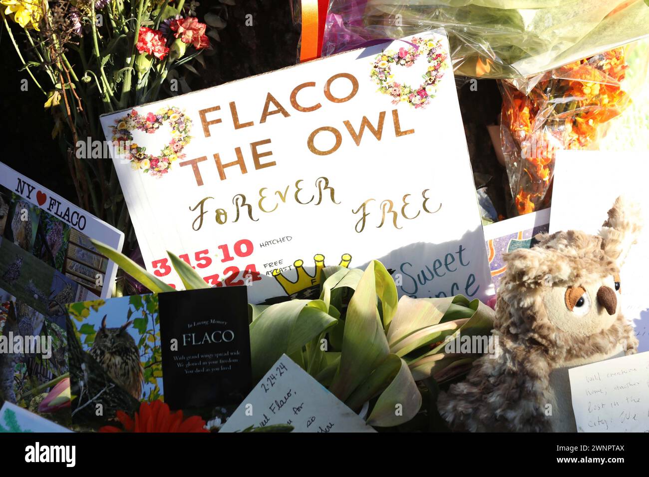 New York, New York, USA. 3rd Mar, 2024. Tributes seen at the ...