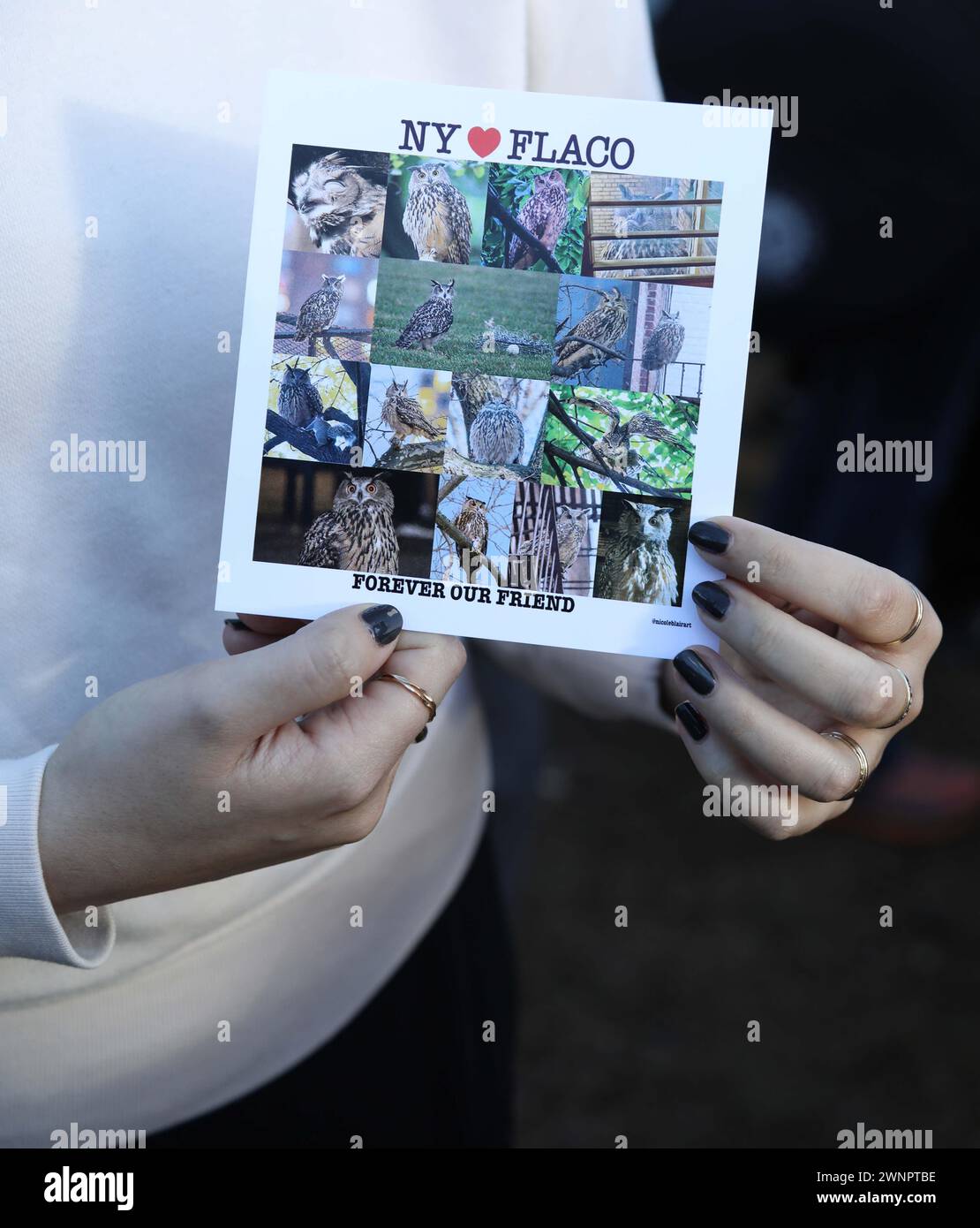 New York, New York, USA. 3rd Mar, 2024. A Flaco tribute seen at the ...