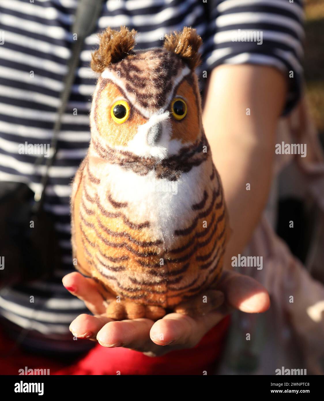 New York, New York, USA. 3rd Mar, 2024. A Flaco stuffed owl seen at the ...