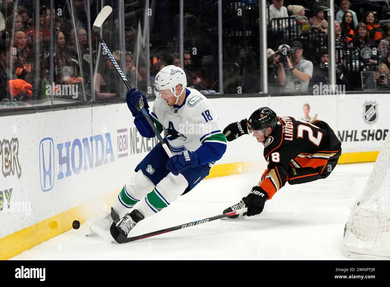 Vancouver Canucks center Sam Lafferty, left, takes the puck as Anaheim ...