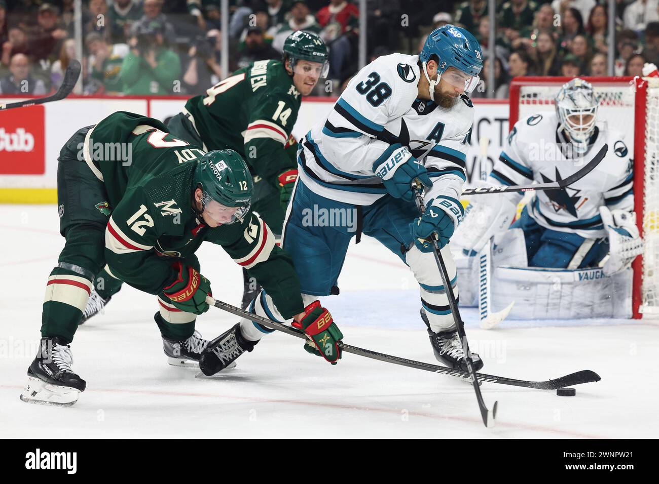 Minnesota Wild left wing Matt Boldy (12) reaches for the puck against ...