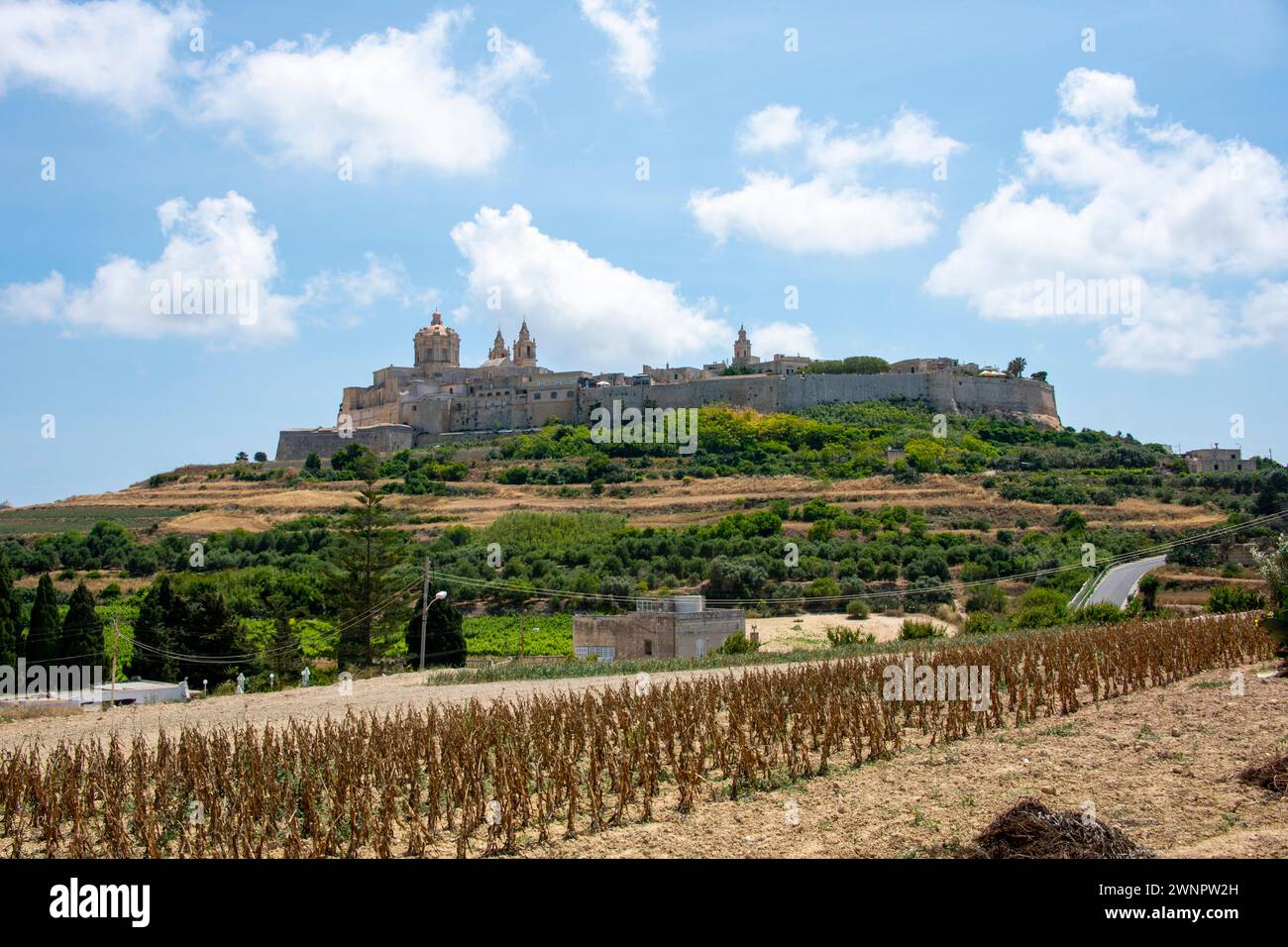 Agricultural Fields in Rabat - Malta Stock Photo - Alamy