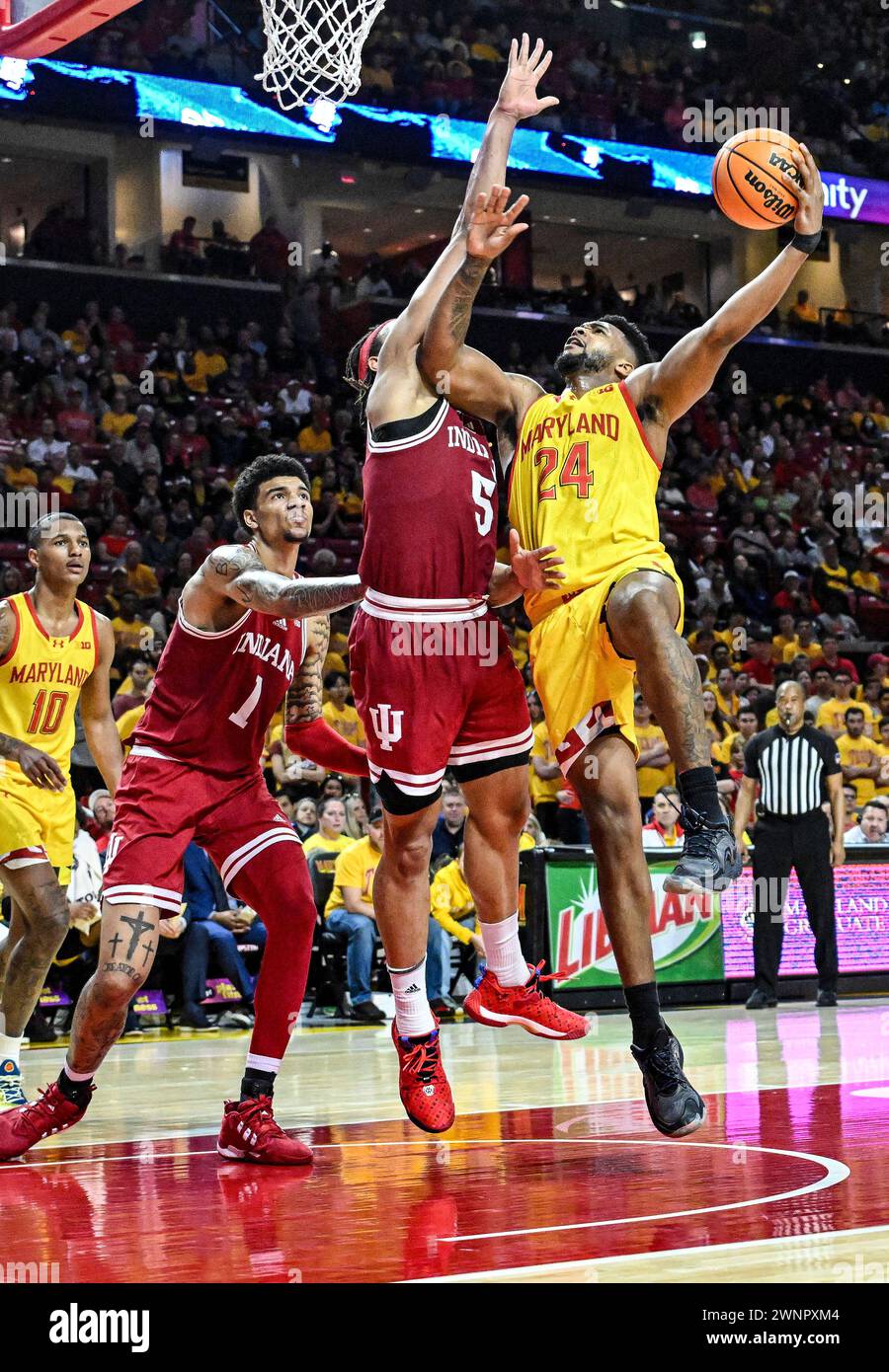 COLLEGE PARK, MD - March 3: Maryland Terrapins forward Donta Scott (24 ...