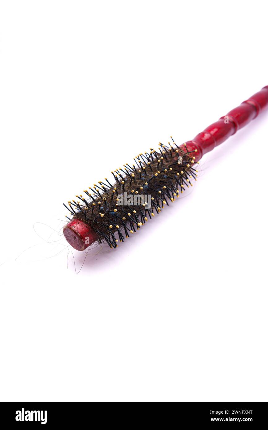 Closeup dirty hairbrush on Cut Out Stock Images & Pictures - Alamy