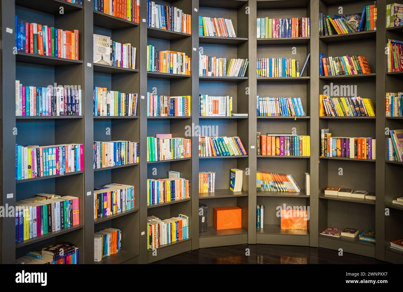 Book shelve background. Round book shelf. Book shelve with books ...