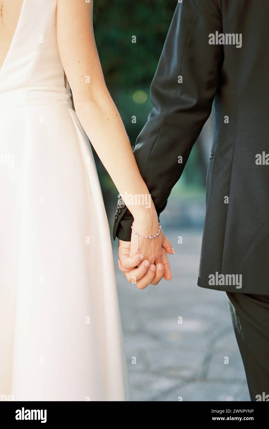 Bride and groom are standing holding hands. Back view. Cropped Stock ...