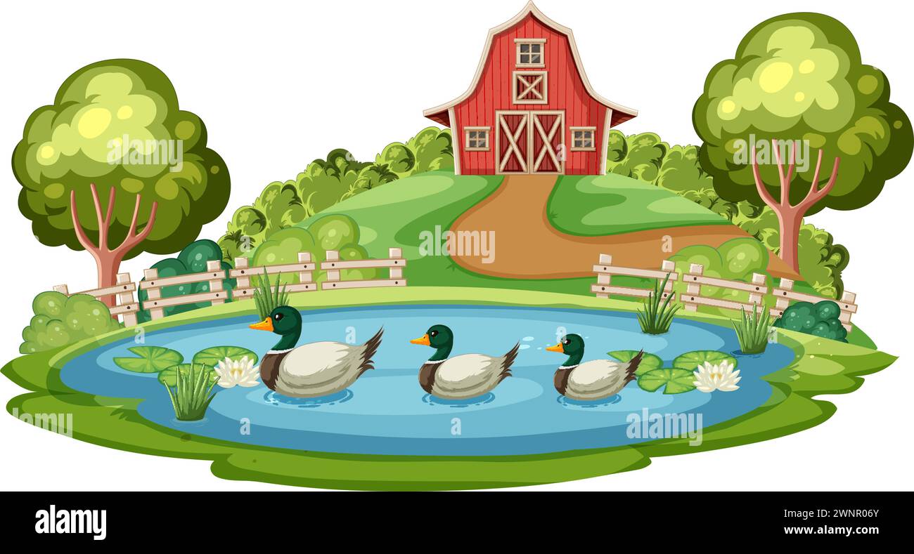 Vector illustration of ducks swimming in a farm pond Stock Vector Image & Art - Alamy