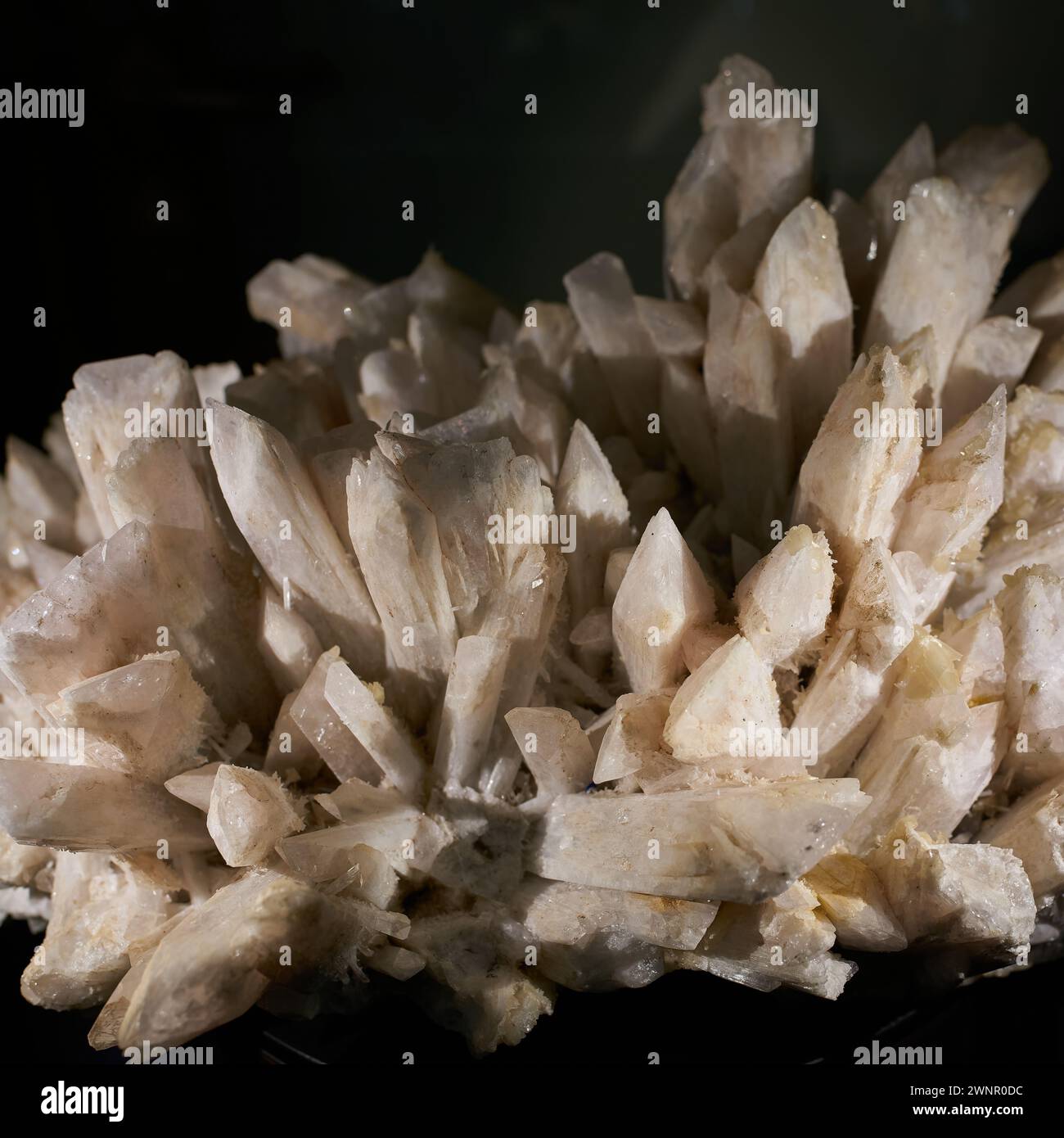 Crystals of the mineral danburite in a mineral collection Stock Photo ...