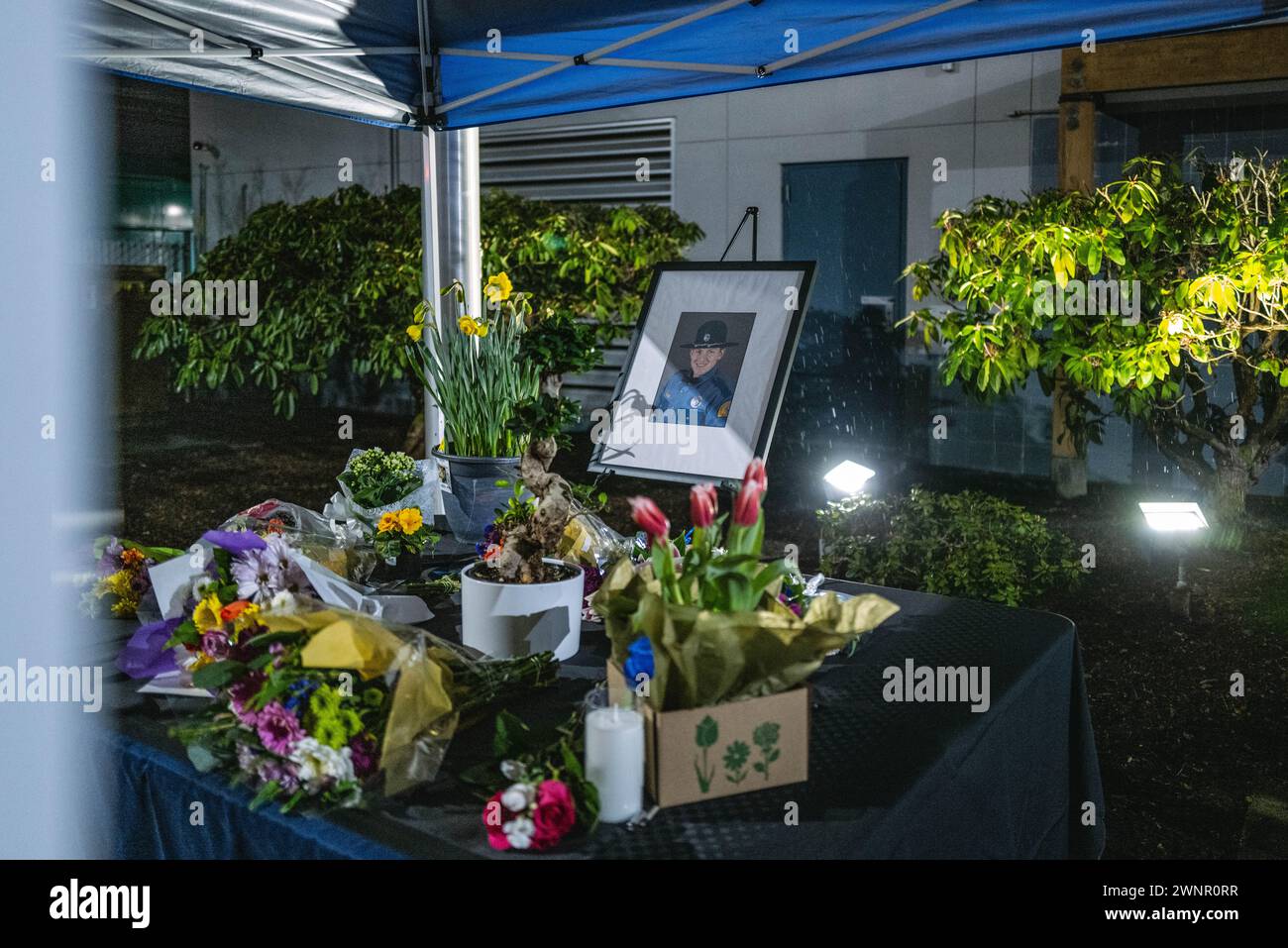 Flowers adorn the memorial for Trooper Christopher Gadd at the ...