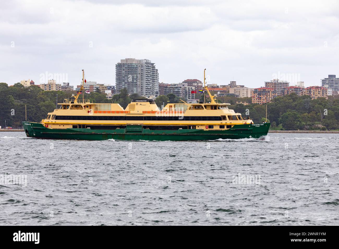 Manly ferry, the MV Freshwater ferry on Sydney harbour transporting ...