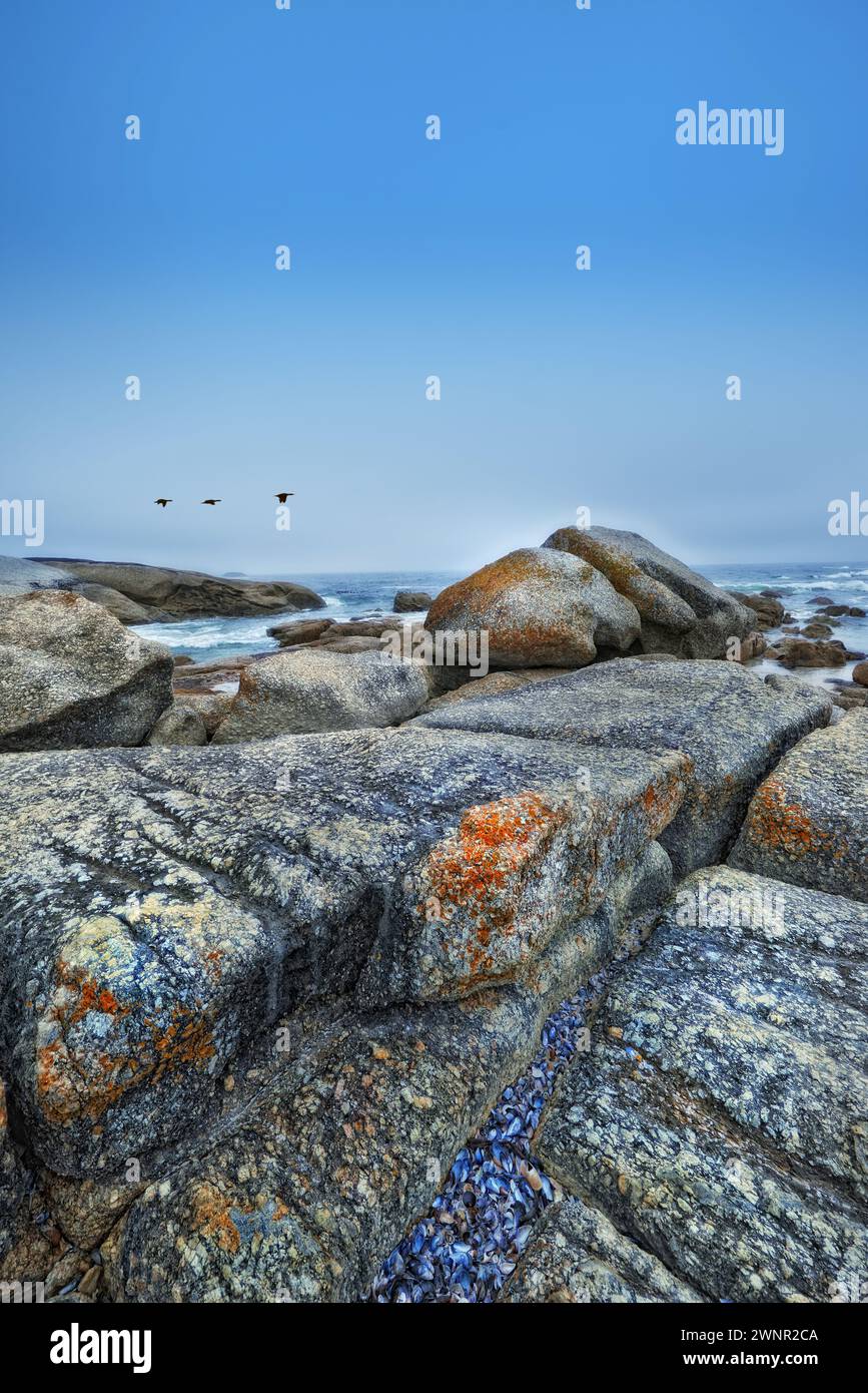 Beach, stone and rocks in landscape of nature or environment with birds ...