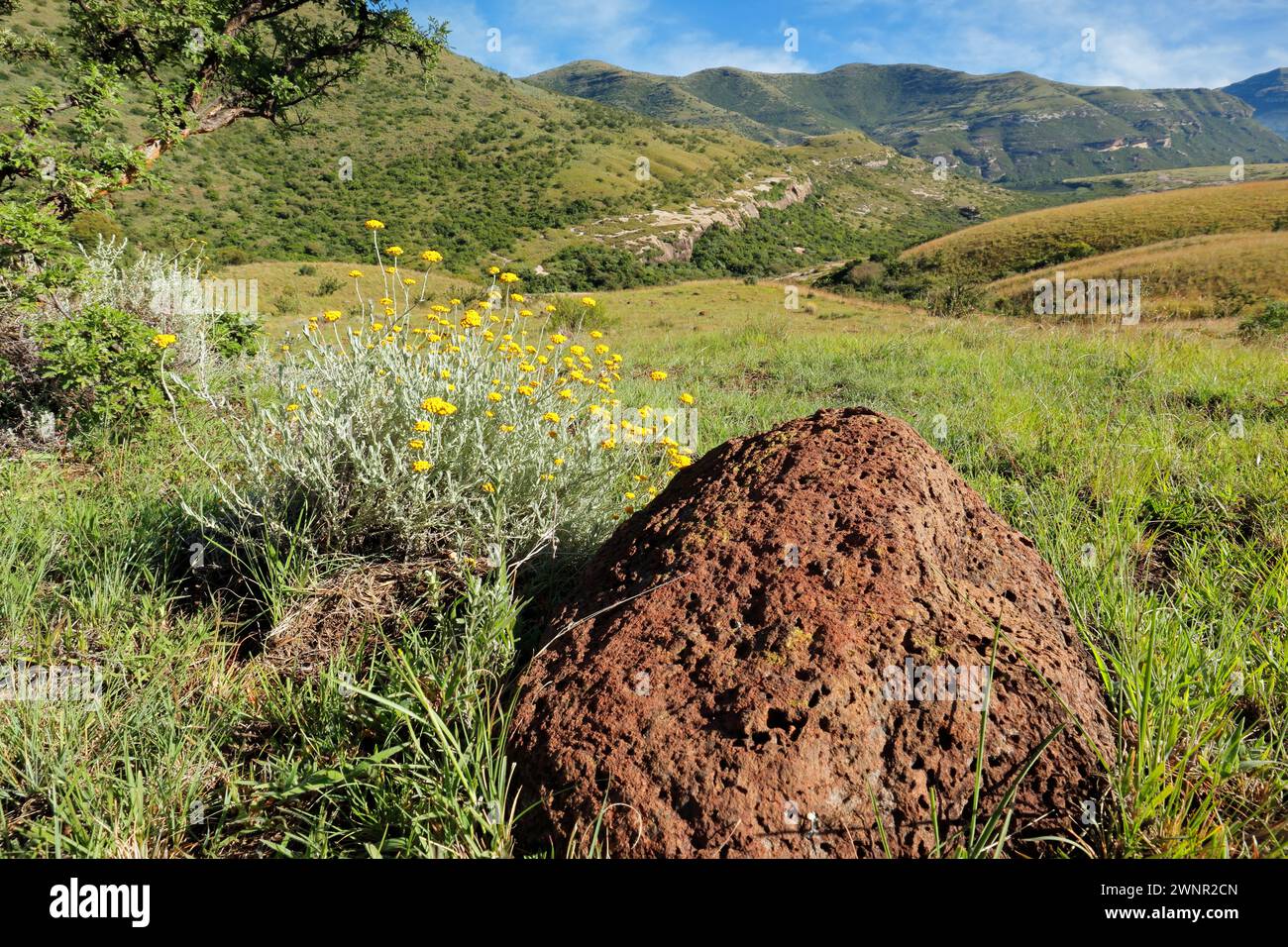Scenic mountain landscape with a termite mound, eastern Free State ...