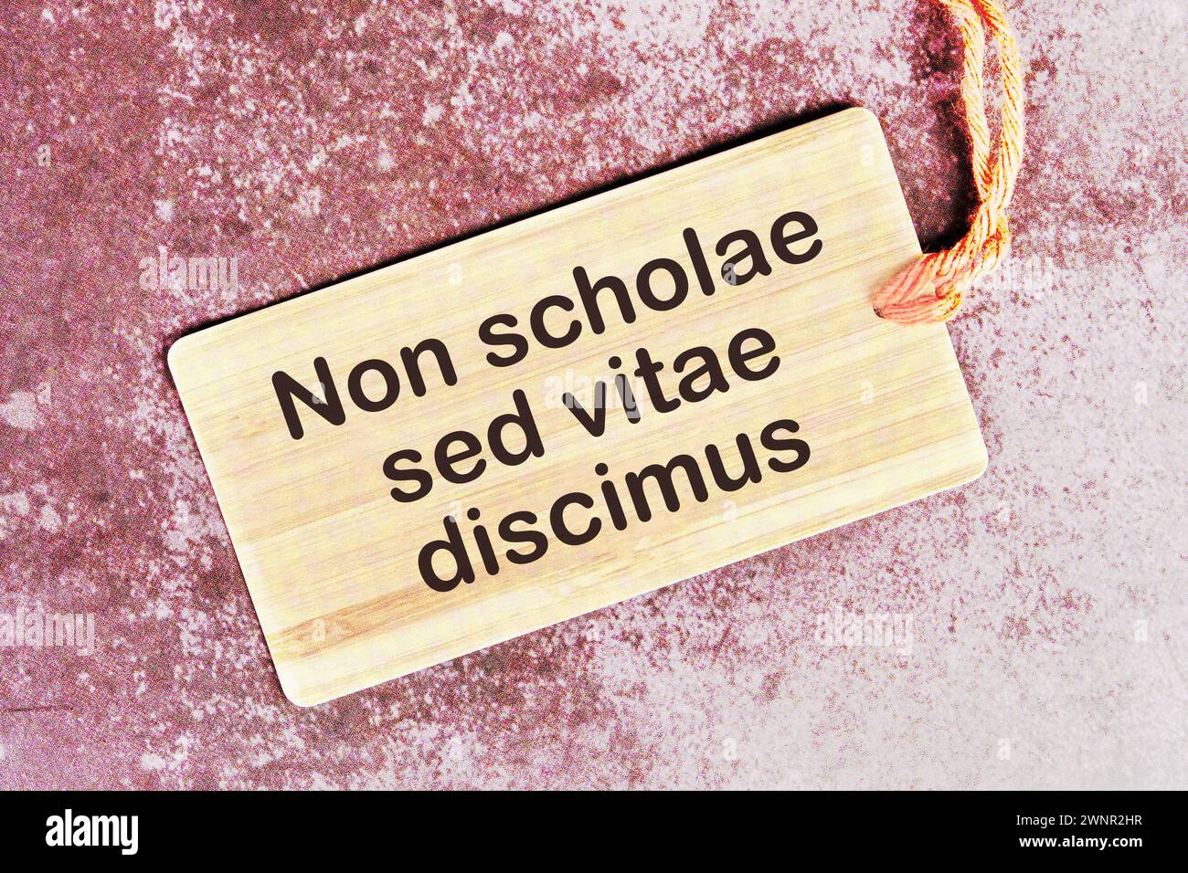 Non scholae sed vitae discimus It is translated from Latin as We study ...