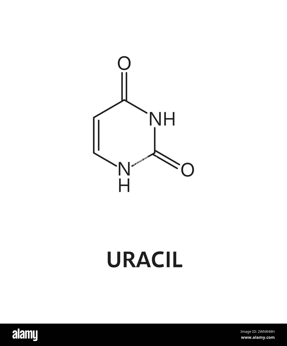 Uracil nucleic acid, nitrogenous base, nitrogen and hydrogen formula ... Uracil nucleic acid, nitrogenous base, nitrogen and hydrogen formula ...