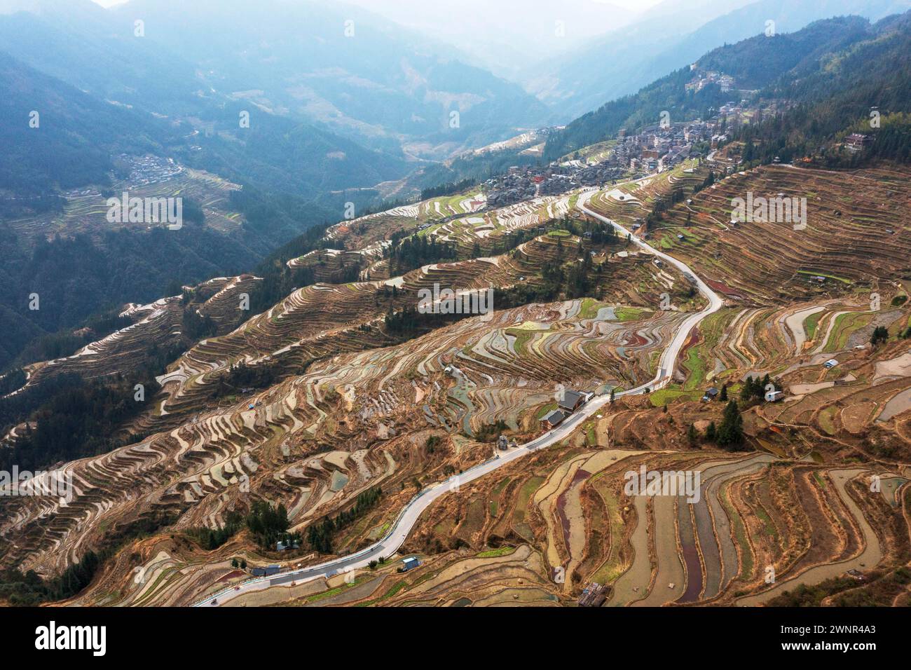 Congjiang, China. 04th Mar, 2024. The photo, taken on March 2, 2024, is ...