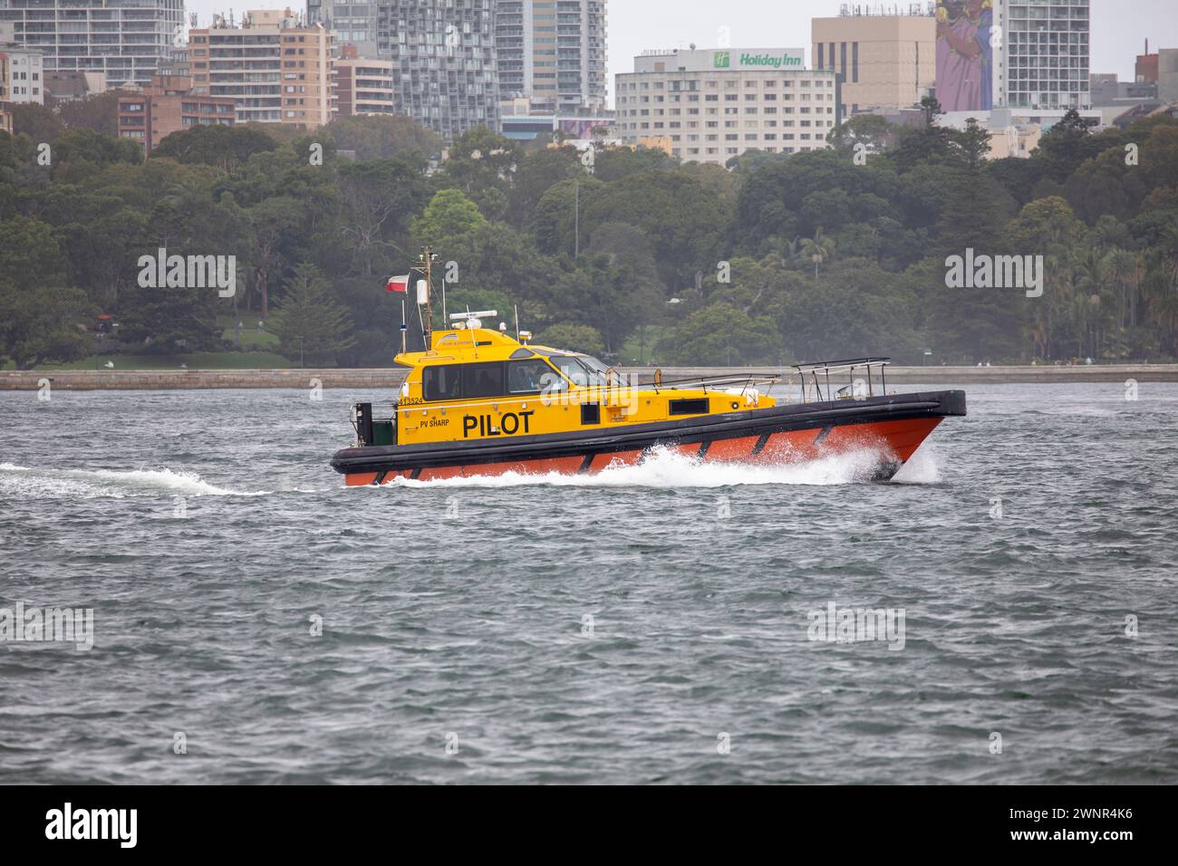 Pilot boat on Sydney harbour used to transport pilots to their specific ...