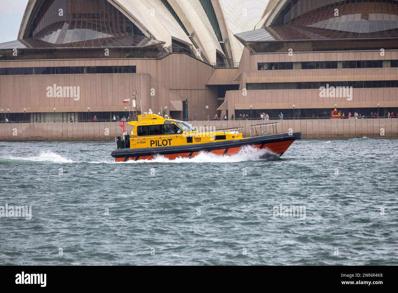 Pilot boat on Sydney harbour used to transport pilots to their specific ...