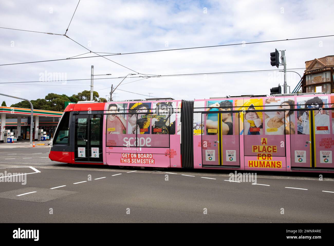 Sydney CBD light rail train on Anzac Parade in Kensington eastern ...