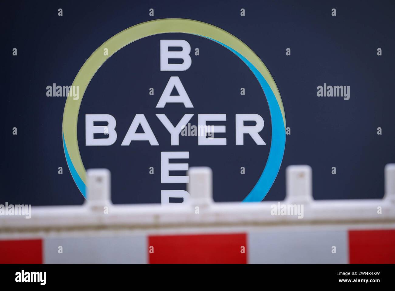 02.03.2024, Bayer AG, Die Bayer AG befindet sich im Umbau. Blick auf ...