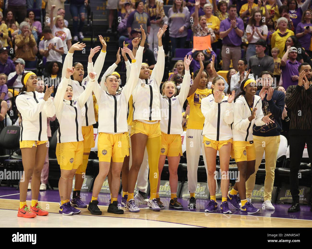 Baton Rouge, USA. 03rd Mar, 2024. The LSU Lady Tigers cheer as various ...