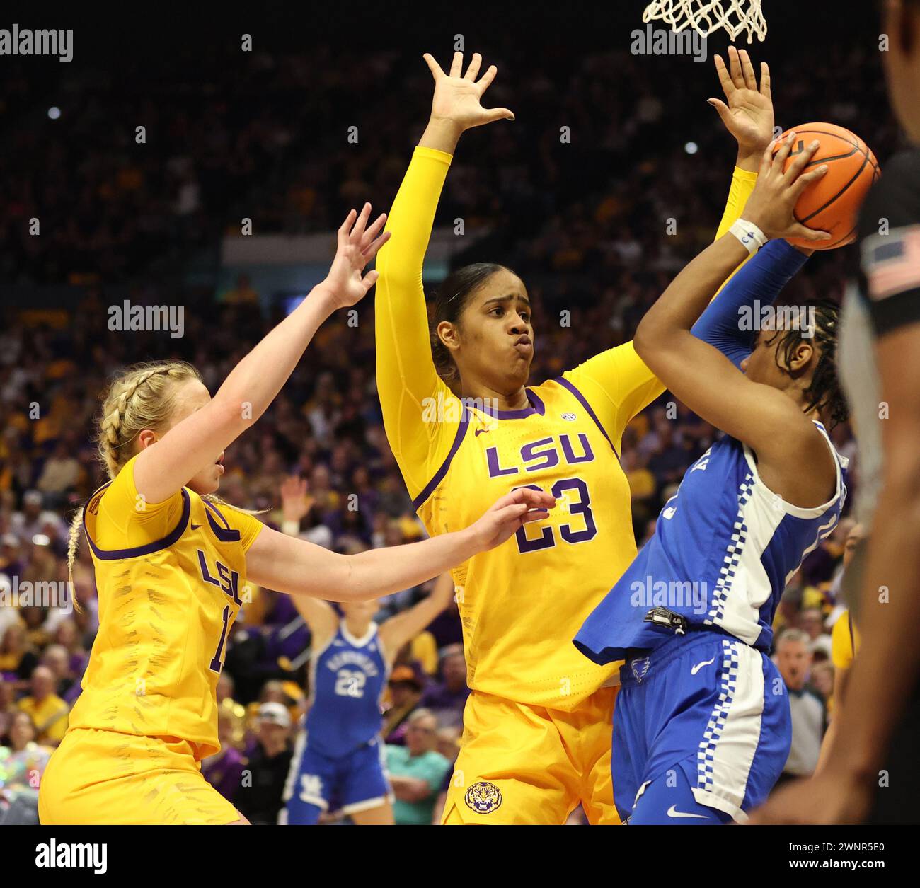 Baton Rouge, USA. 03rd Mar, 2024. Kentucky Wildcats forward Ajae Petty ...