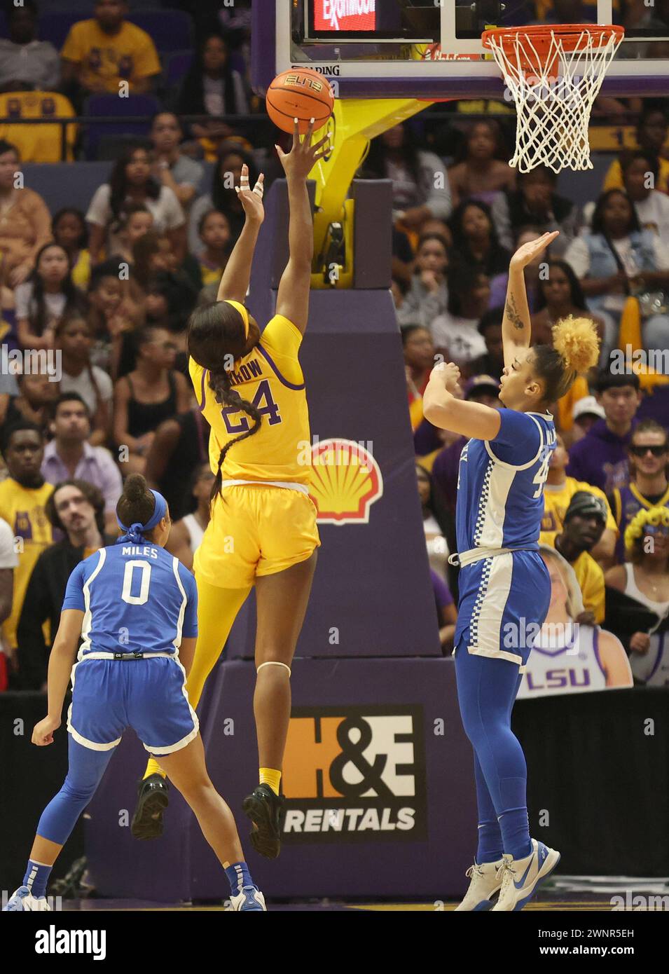 Baton Rouge, USA. 03rd Mar, 2024. LSU Lady Tigers guard Aneesah Morrow ...