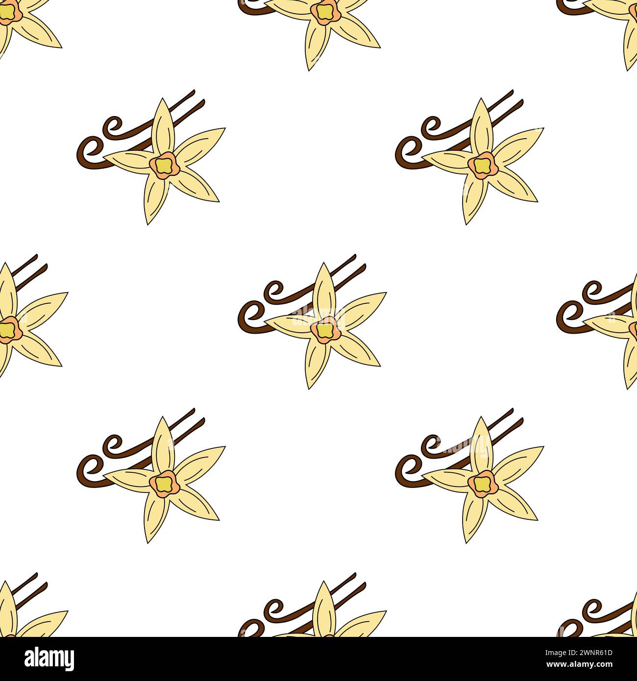 Seamless pattern with Vanilla flower and pod. Spice, condiment and herb ...