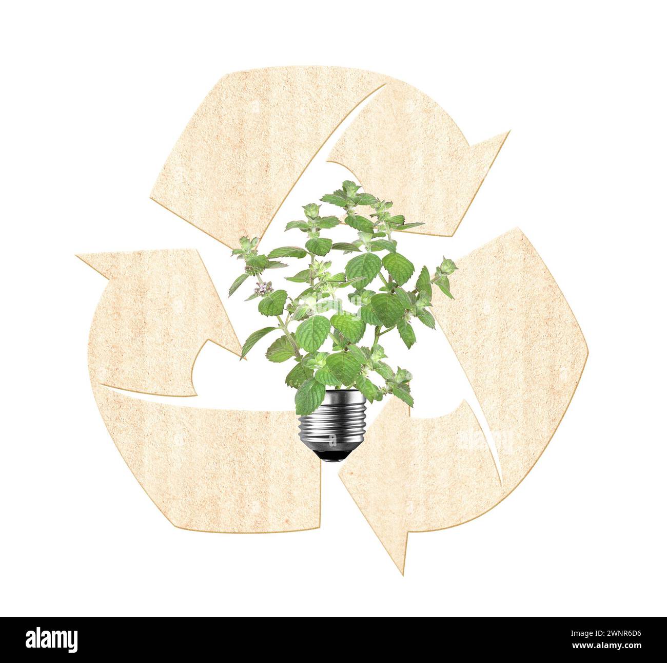 Light bulb with green leaves and paper arrows recycle symbol ...