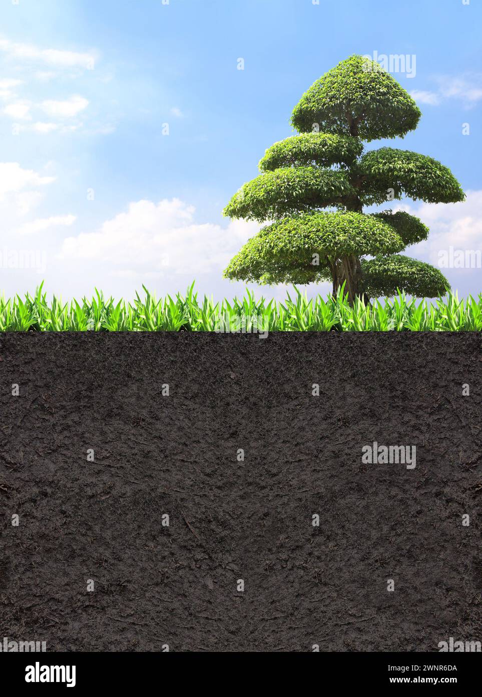 Environmental and conservation protection background. Cross section of ...