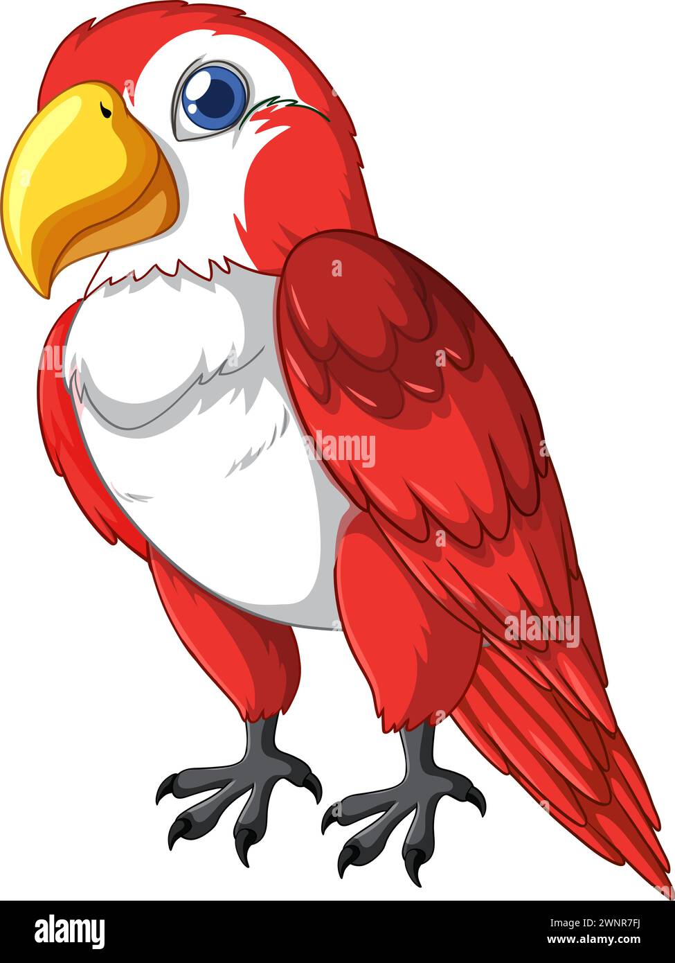 Red tail bird standing Cut Out Stock Images & Pictures - Alamy