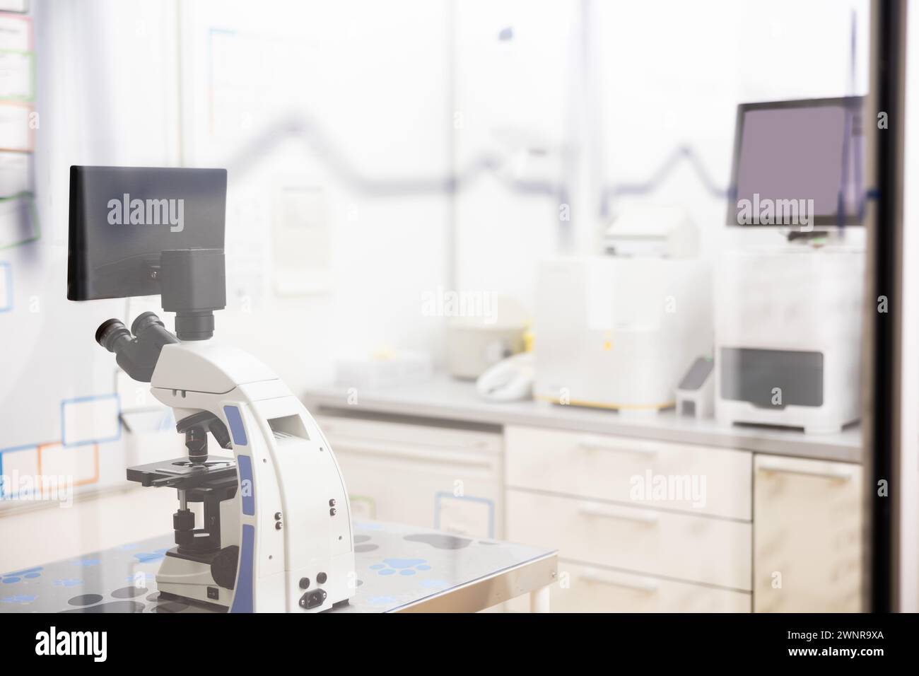 Microscope with multiple magnification, additional monitor screen are ...