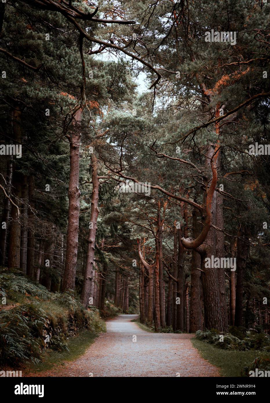 Sense of place hi-res stock photography and images - Alamy