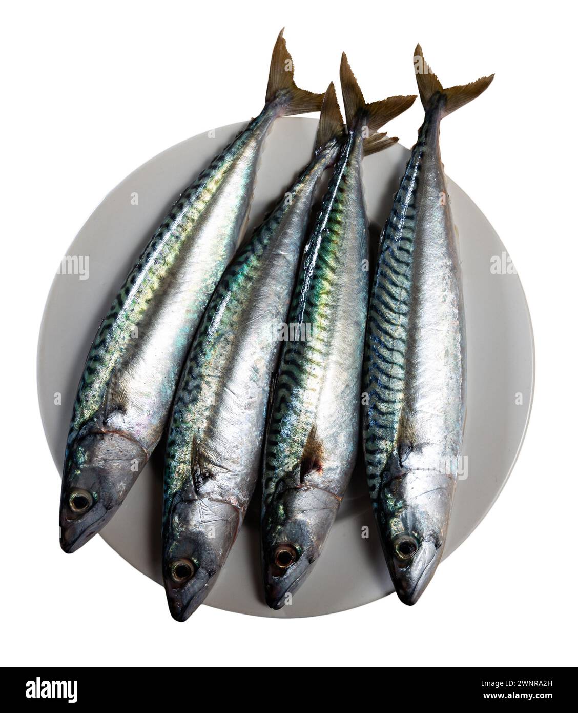 Raw mackerel fish served to table Stock Photo - Alamy