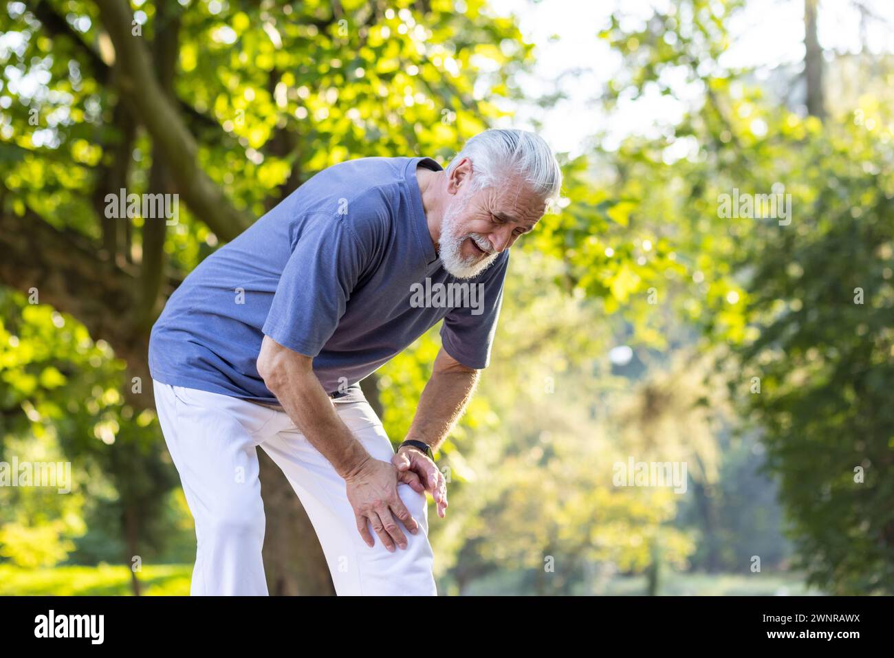 Leg injury during walking and sports training. Senior gray-haired man ...