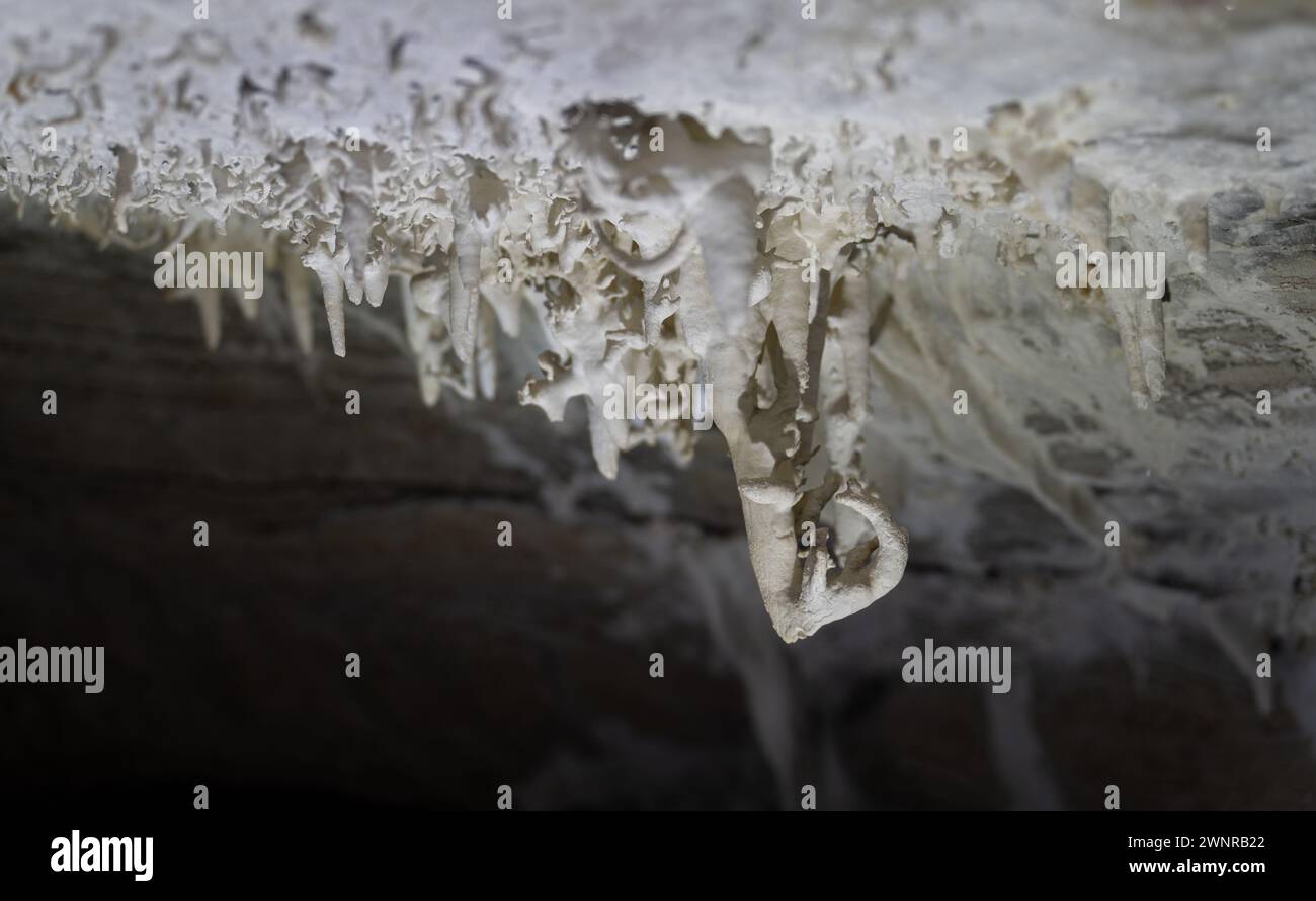 Intricate Cave Formations Displayed in Subterranean Landscape Stock ...