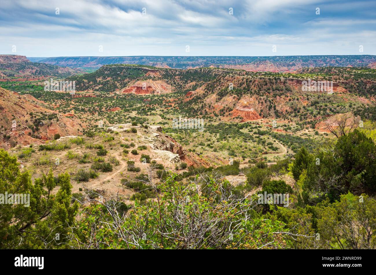 Palo Duro Canyon State Park, located in the Texas Panhandle, USA Stock ...
