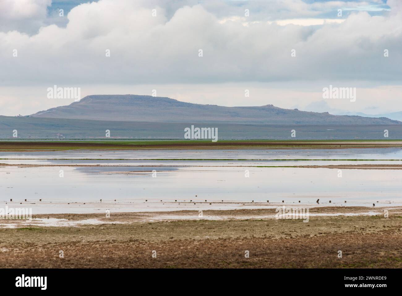 Antelope Island State Park, Largest Island in the Great Salt Lake, Utah ...
