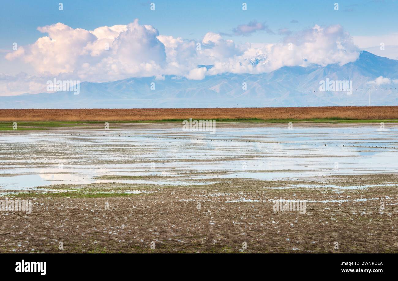 Antelope Island State Park, Largest Island in the Great Salt Lake, Utah ...