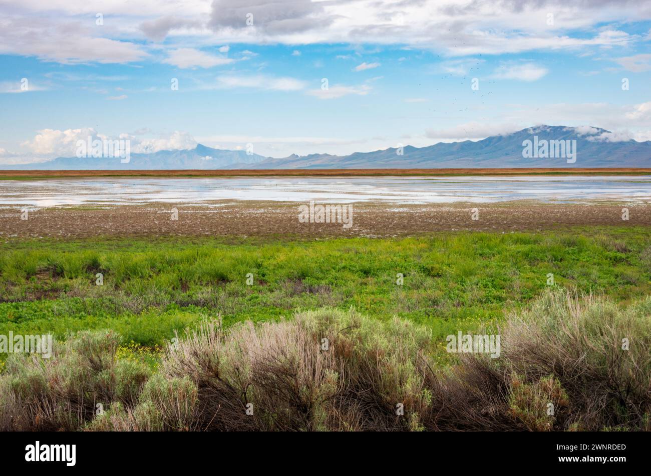 Antelope Island State Park, Largest Island in the Great Salt Lake, Utah ...