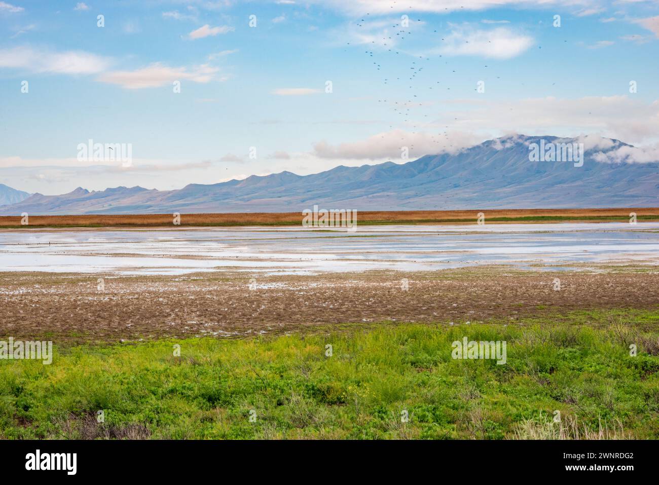 Antelope Island State Park, Largest Island in the Great Salt Lake, Utah ...